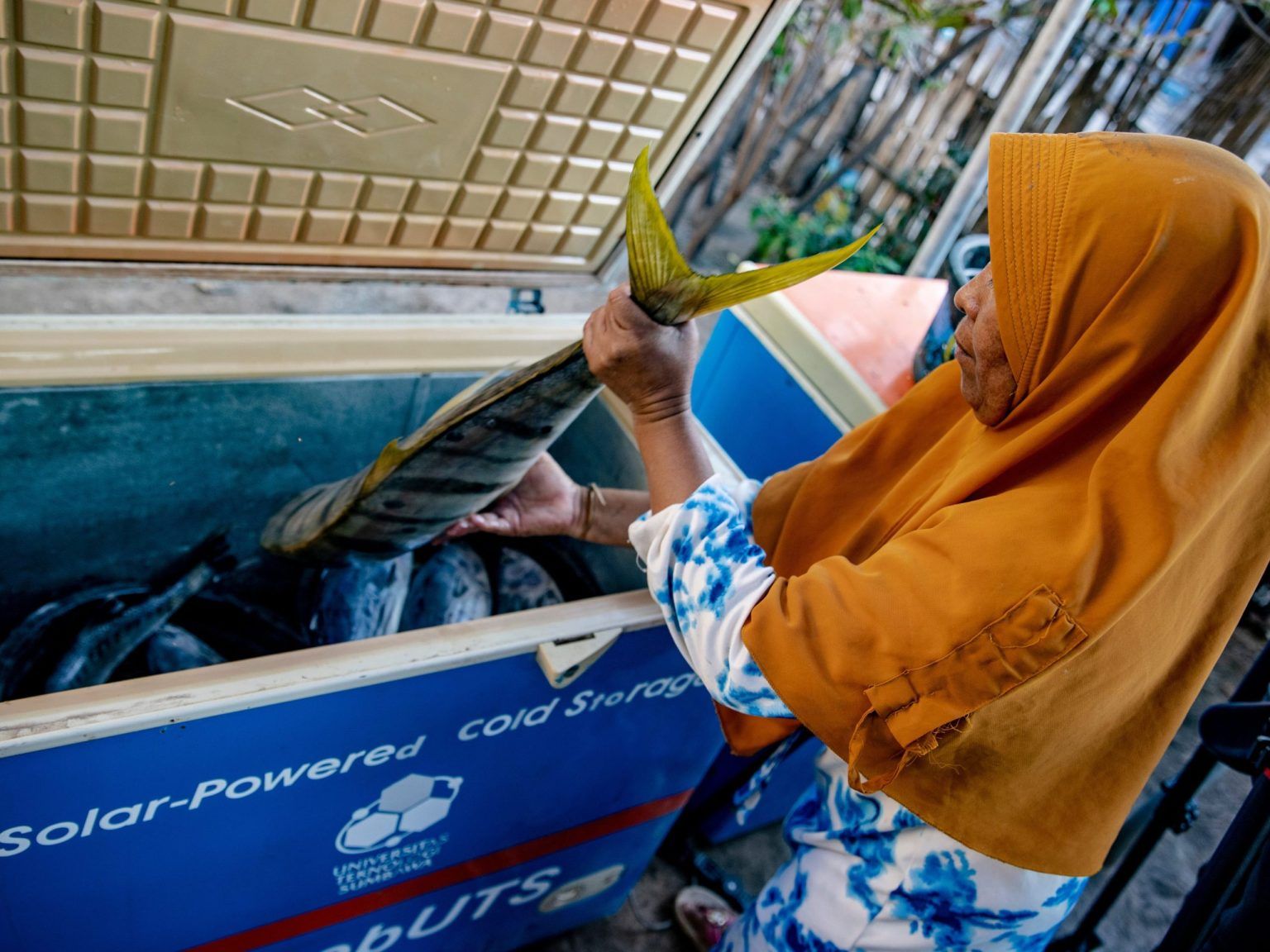 KINETIK NEX to supercharge early-stage clean energy & climate startups ...